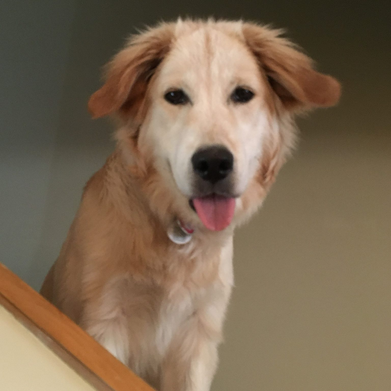 ECHOtape Team | High Performance Specialty Adhesive Tapes